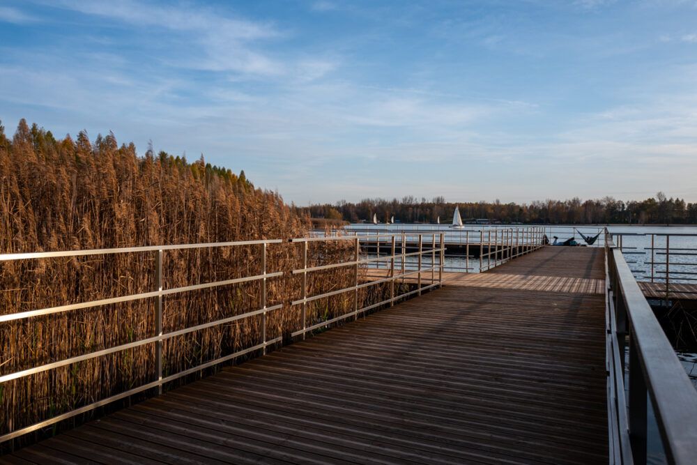 Sosina w Jaworznie zachwyca. Idealne miejsce na niedzielny spacer [ZDJĘCIA]