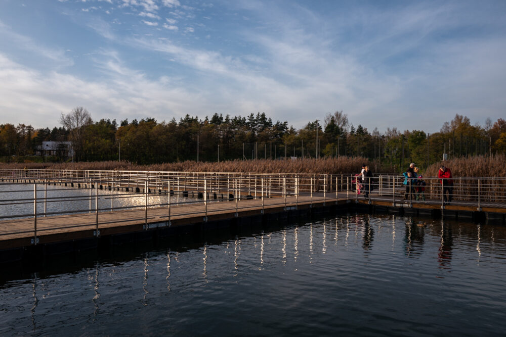 Sosina w Jaworznie zachwyca. Idealne miejsce na niedzielny spacer [ZDJĘCIA]