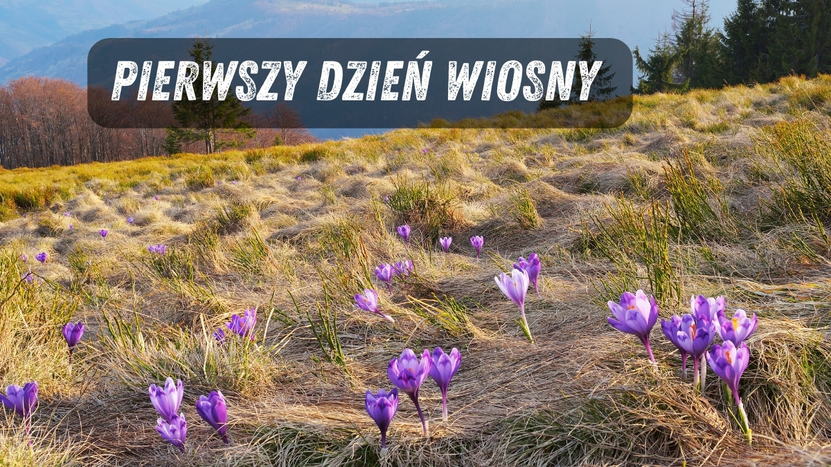 Jak to jest z tym pierwszym dniem wiosny? - TVS.pl